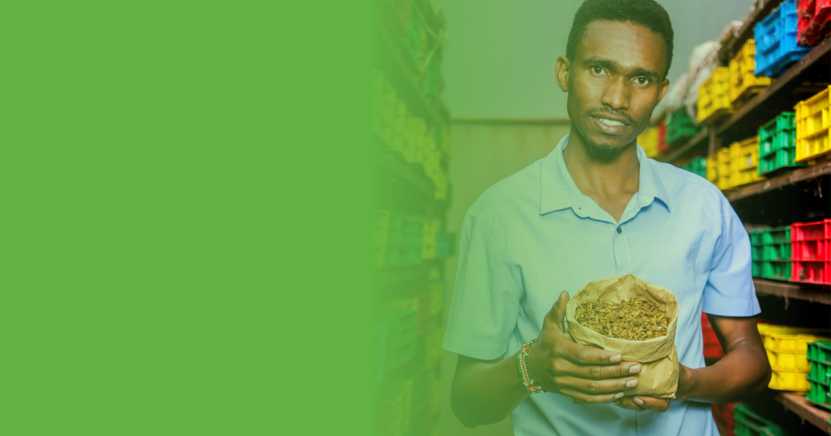 Insect Protein - Zehunger Solutions